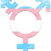 Trans Pride NI | Celebrating Gender Diversity and Transgender People in ...